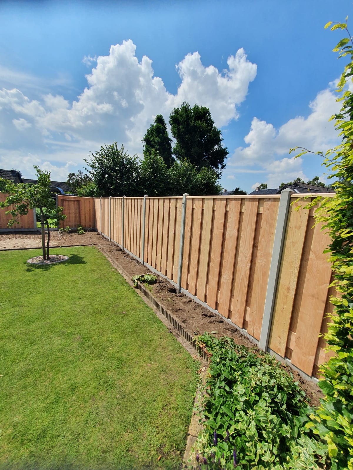 Tuinscherm Harskamp | zwart douglas | Vandentop Tuinhout