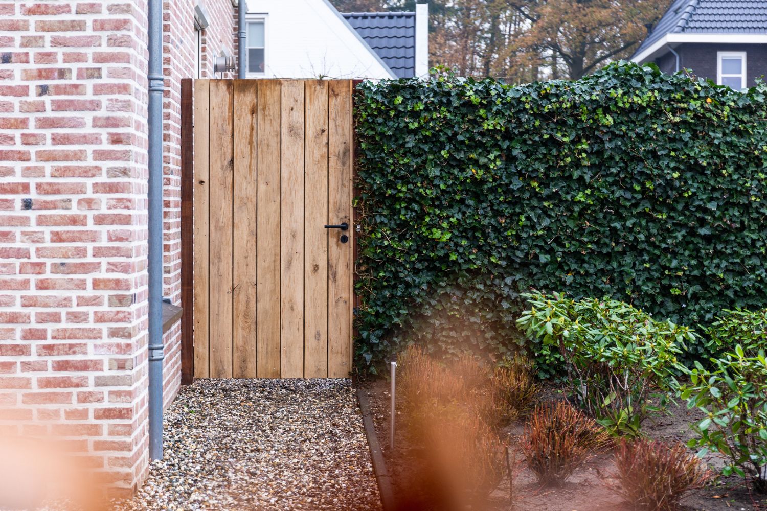Loofhout: wat is het en kun je het buiten toepassen? | Vandentop Tuinhout