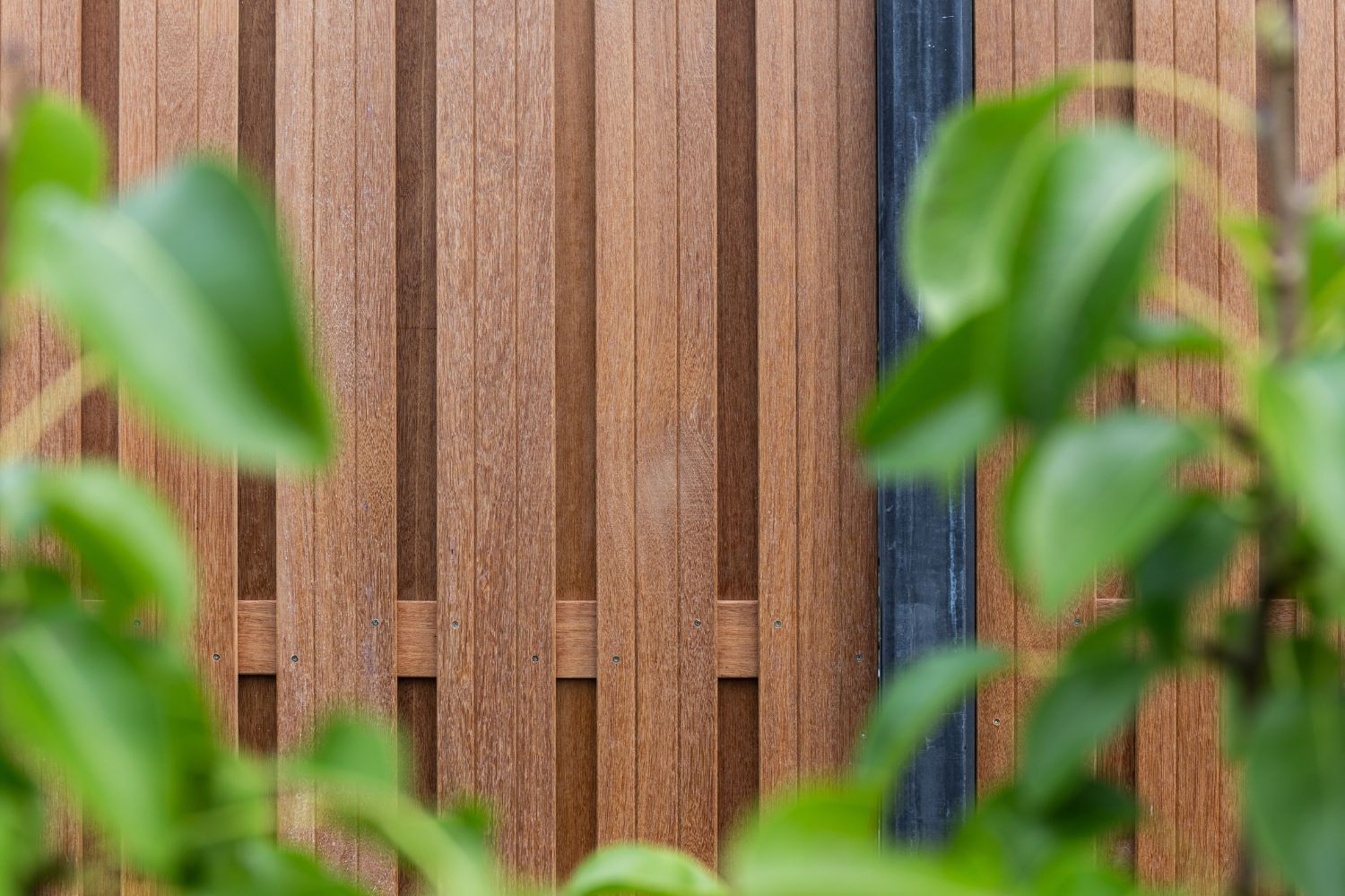 Loofhout: wat is het en kun je het buiten toepassen? | Vandentop Tuinhout