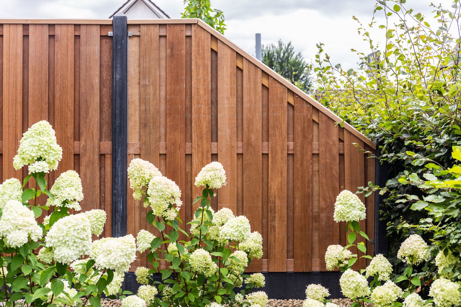 Keruing hardhout: ideaal voor een duurzame schutting! | Vandentop Tuinhout