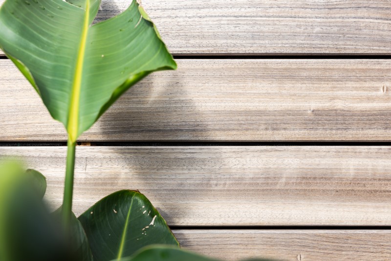 Meer weten over padoek hout? | Vandentop Tuinhout