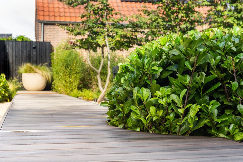 Meer weten over padoek hout? | Vandentop Tuinhout