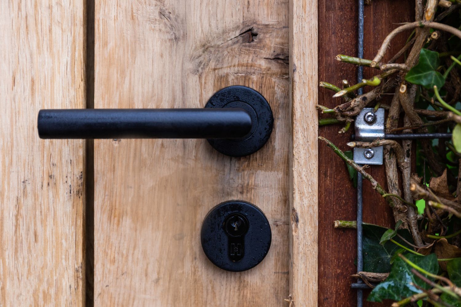 Loofhout: wat is het en kun je het buiten toepassen? | Vandentop Tuinhout